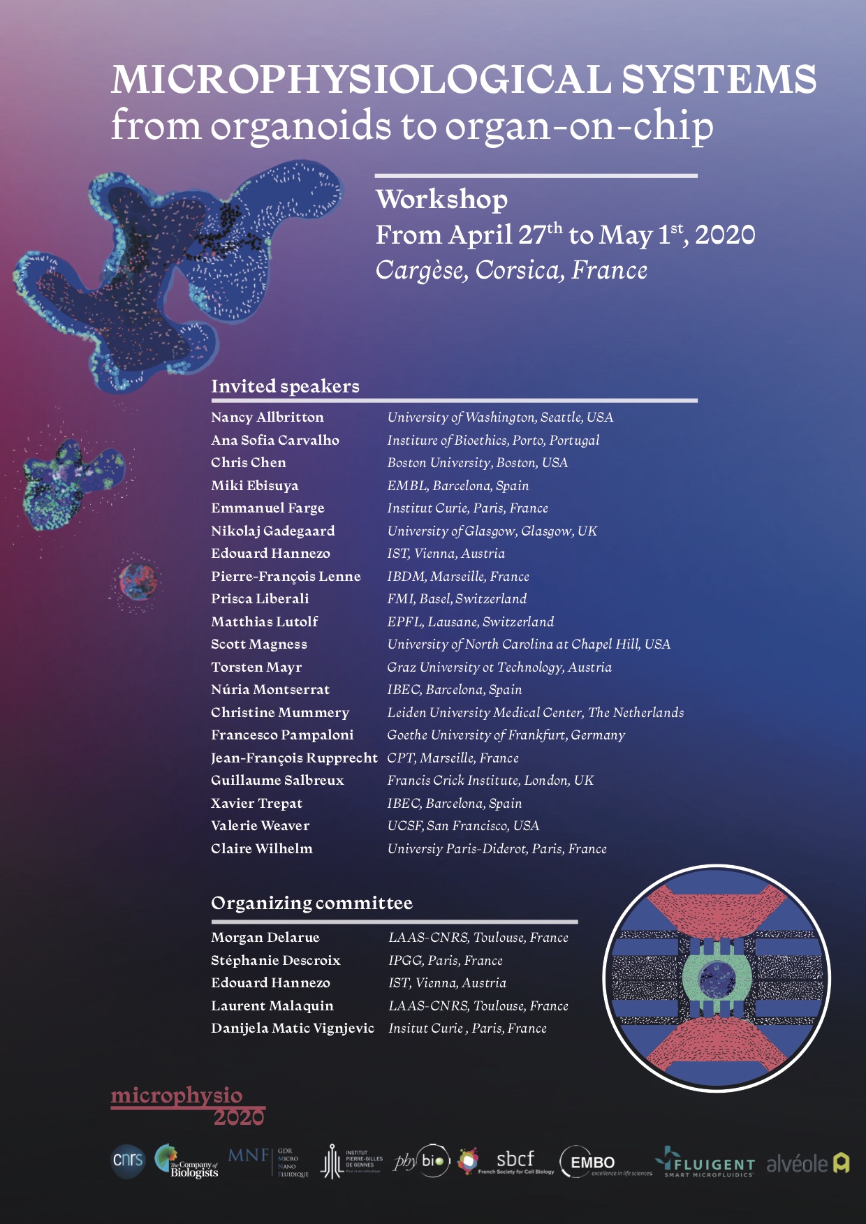 MICROPHYSIOLOGICAL SYSTEMS from organoids to organ-on-chip