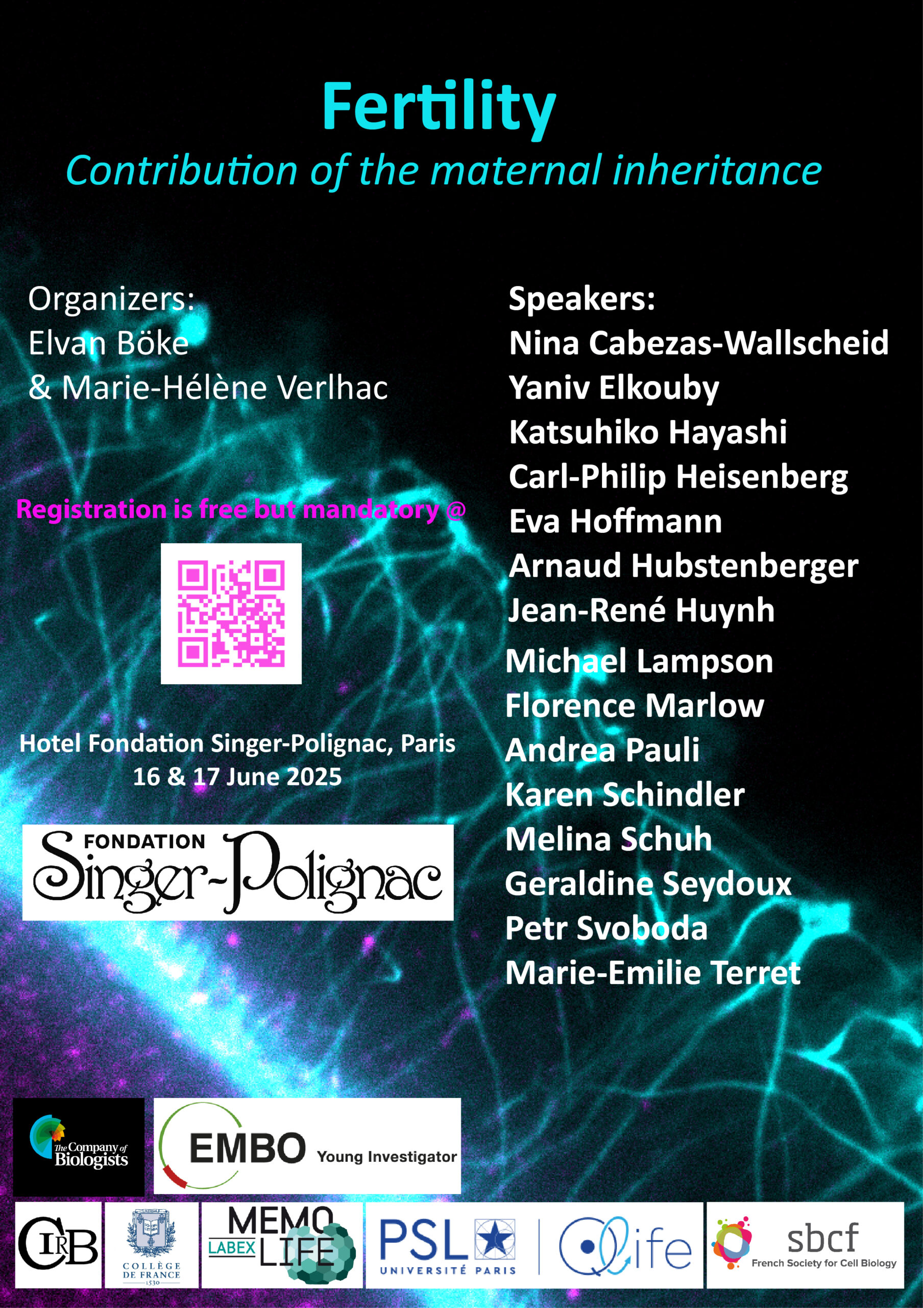 Fertility, contribution of the maternal inheritance